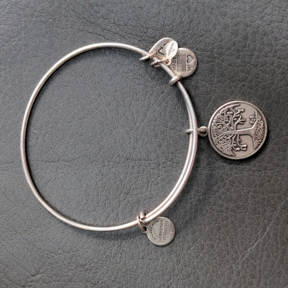 Alex and Ani | Jewelry | Alex And Ani Tree Of Life Charm Bangle | Poshmark